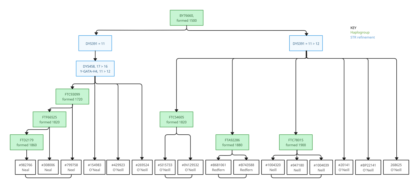 O’Neill R-BY76660 first update – Cenel Eoghain O'Neill Working Papers